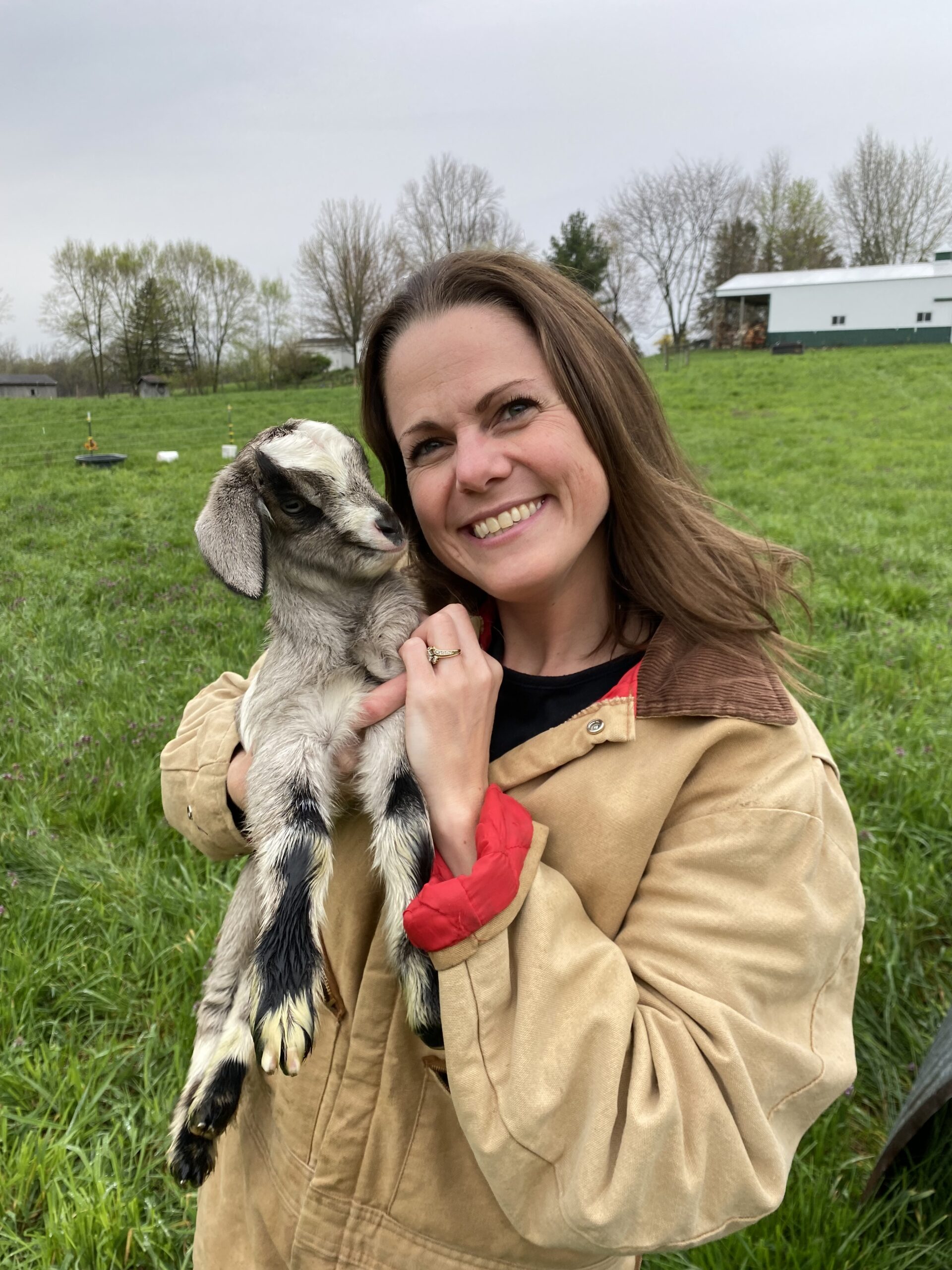 For The Love of the Kiko Meat Goat - Goat Journal